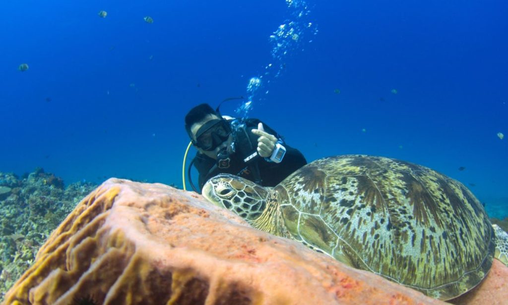 Spot Diving di Papua Selain Raja Ampat - Infojalanjalan