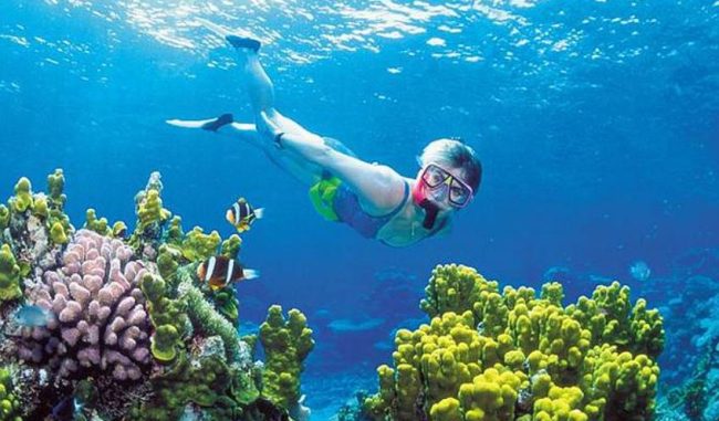 Pulau Badul: Menikmati Keindahan Taman Nasional Ujung Kulon dengan ...