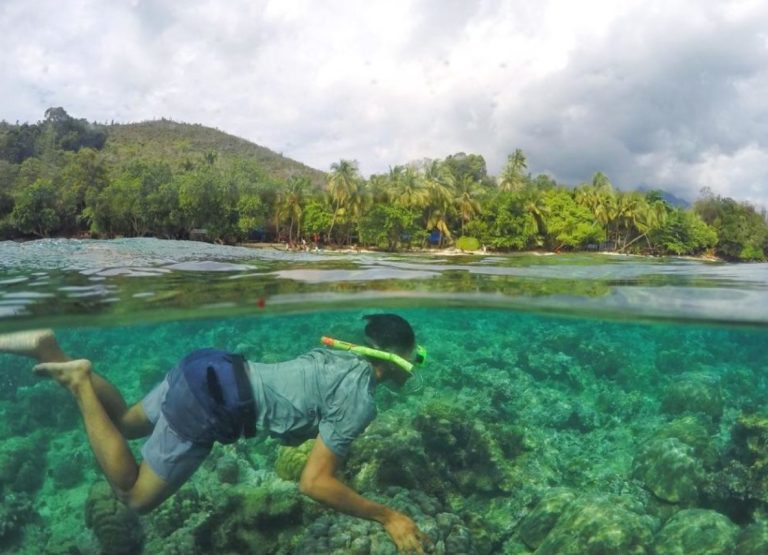 Spot Diving di Papua Selain Raja Ampat - Infojalanjalan